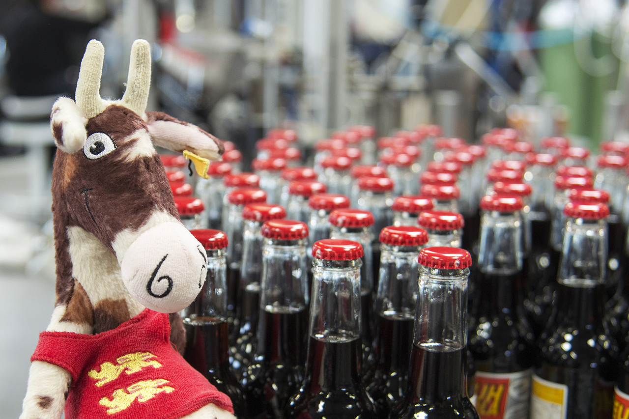 Meuh Cola - Cola régional & artisanal de Normandie