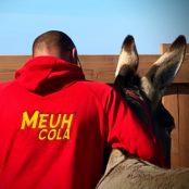 Meuh Cola - Cola régional & artisanal de Normandie